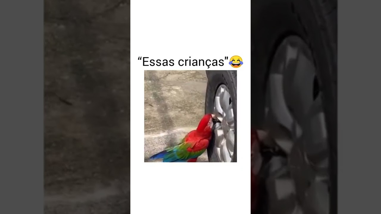 Pego no flagra - Perrengue Mato Grosso Pego no flagra - Perrengue Mato Grosso