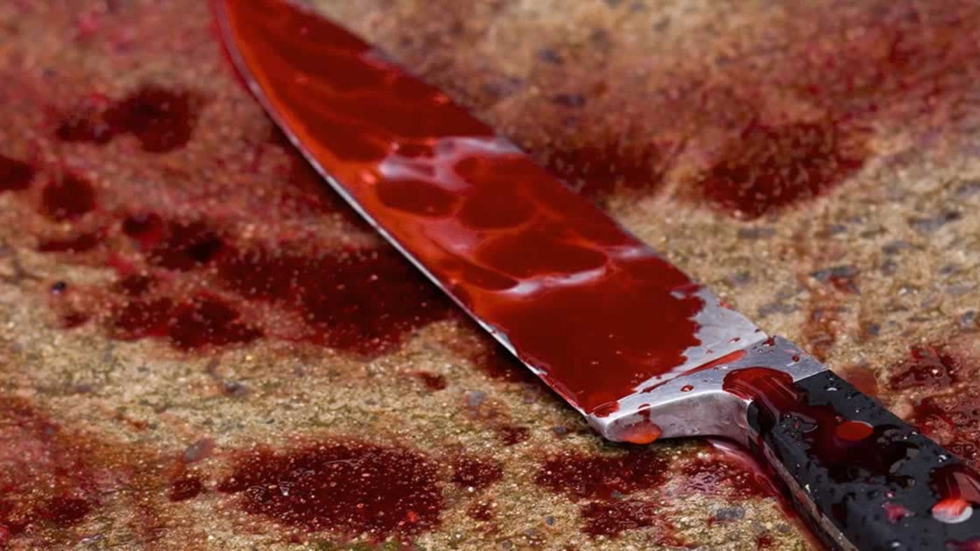 Um episódio curioso movimentou policiais