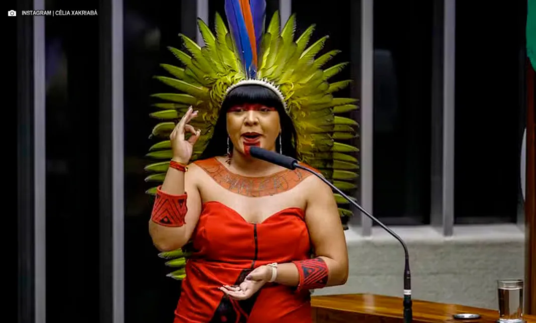 Debate tenso no PNE: fala racista provoca reação firme de Célia ...